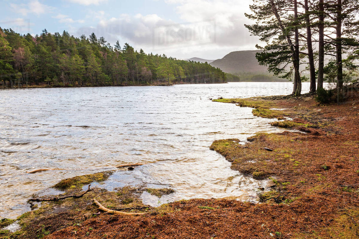 Loch an Eilein and the Rothiemurchus Forest, Aviemore, Cairngorms ...