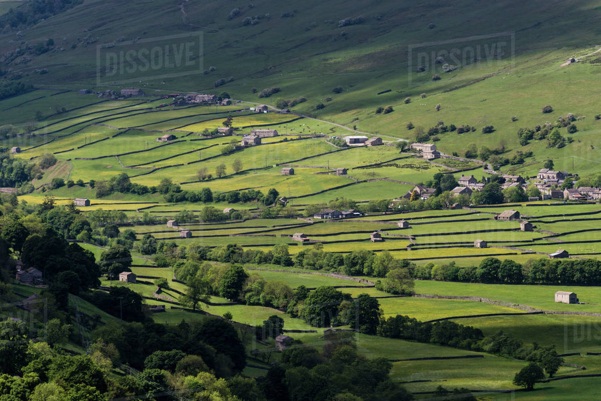 View of stone barns and traditional meadows, Gunnerside, Swaledale ...