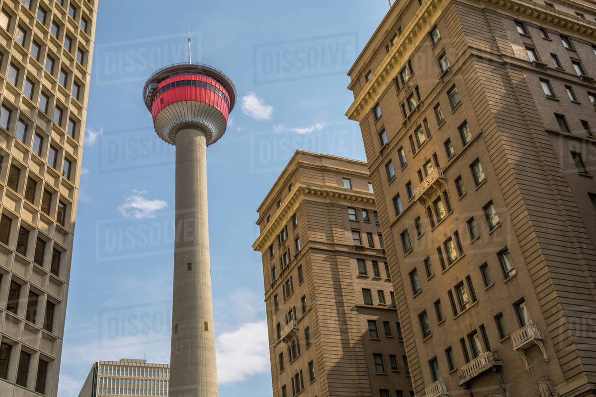 View of the Calgary Tower and nearby office buildings, Downtown Calgary ...