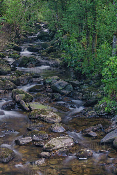 Owengarriff River, Killarney National Park, County Kerry, Munster ...