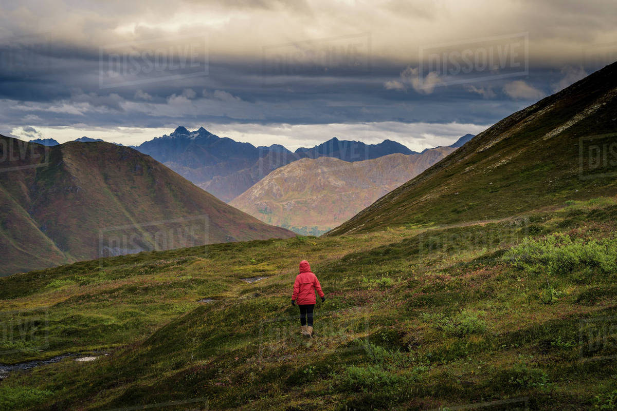 Lone hiker walks into Alaskan wilderness, Alaska, United States of ...