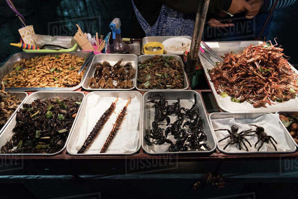 Street food of deep fried insects and bugs, Bangkok, Thailand ...