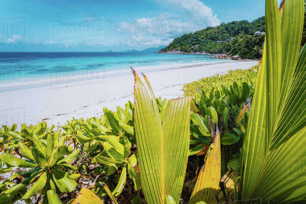 Green tropical foliage, beautiful sandy beach and ocean turquoise ...
