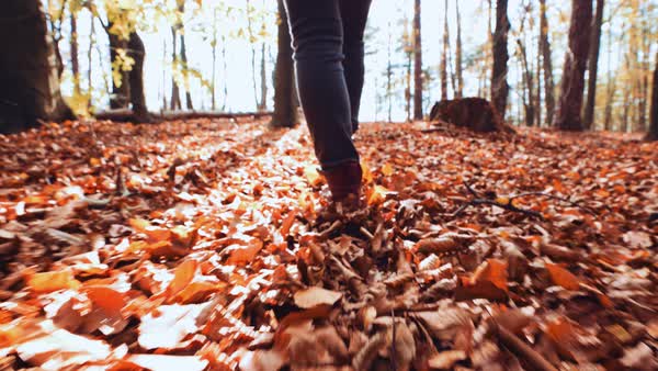 Back view of woman`s legs walking against sun light flares on dry ...