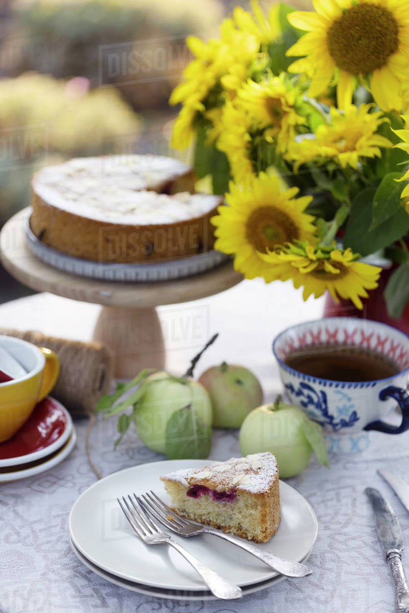 Garden and still life. tea party in the garden - pie, vase with ...