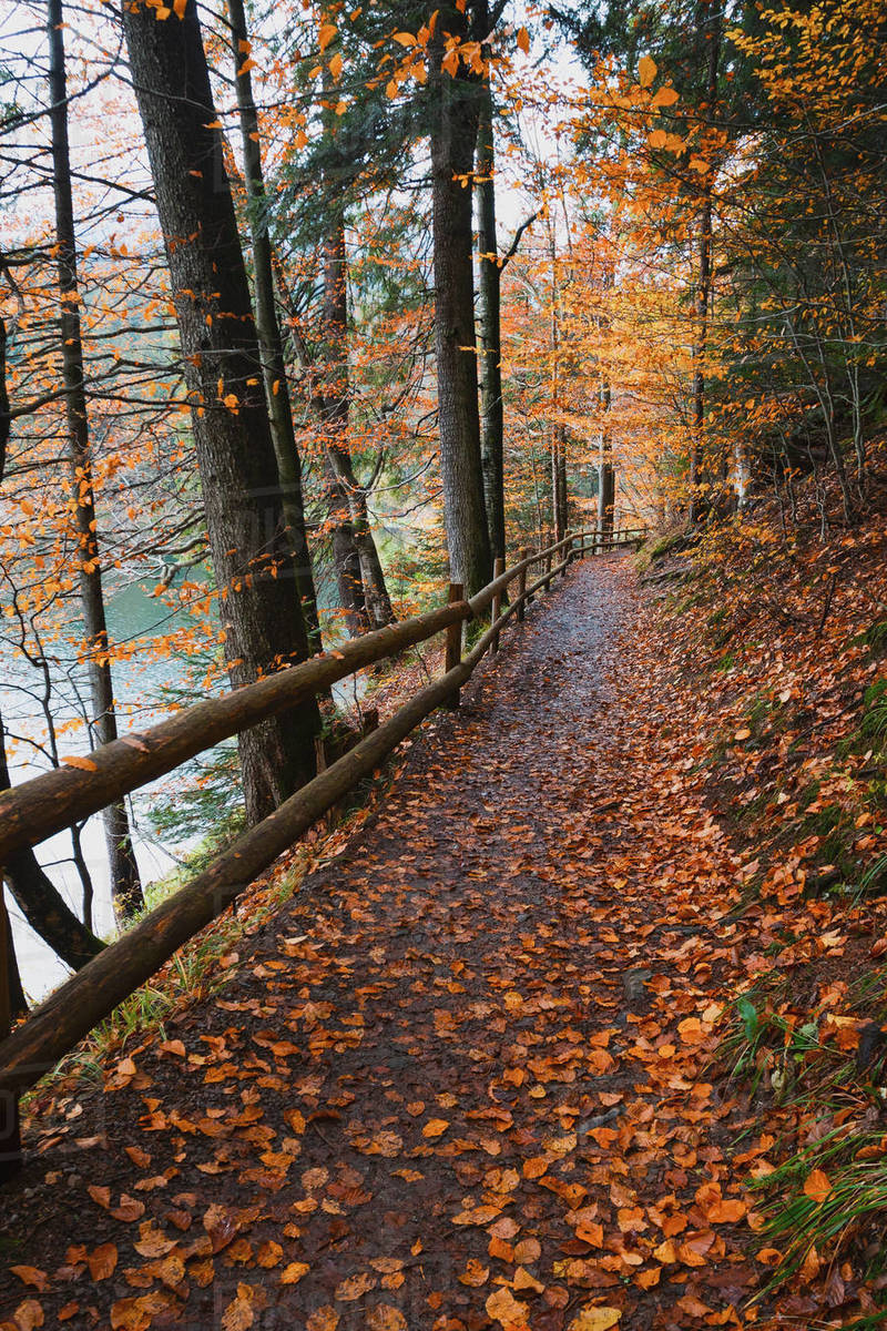Beautiful trail around the lake. beautiful mountains Ukrainian ...