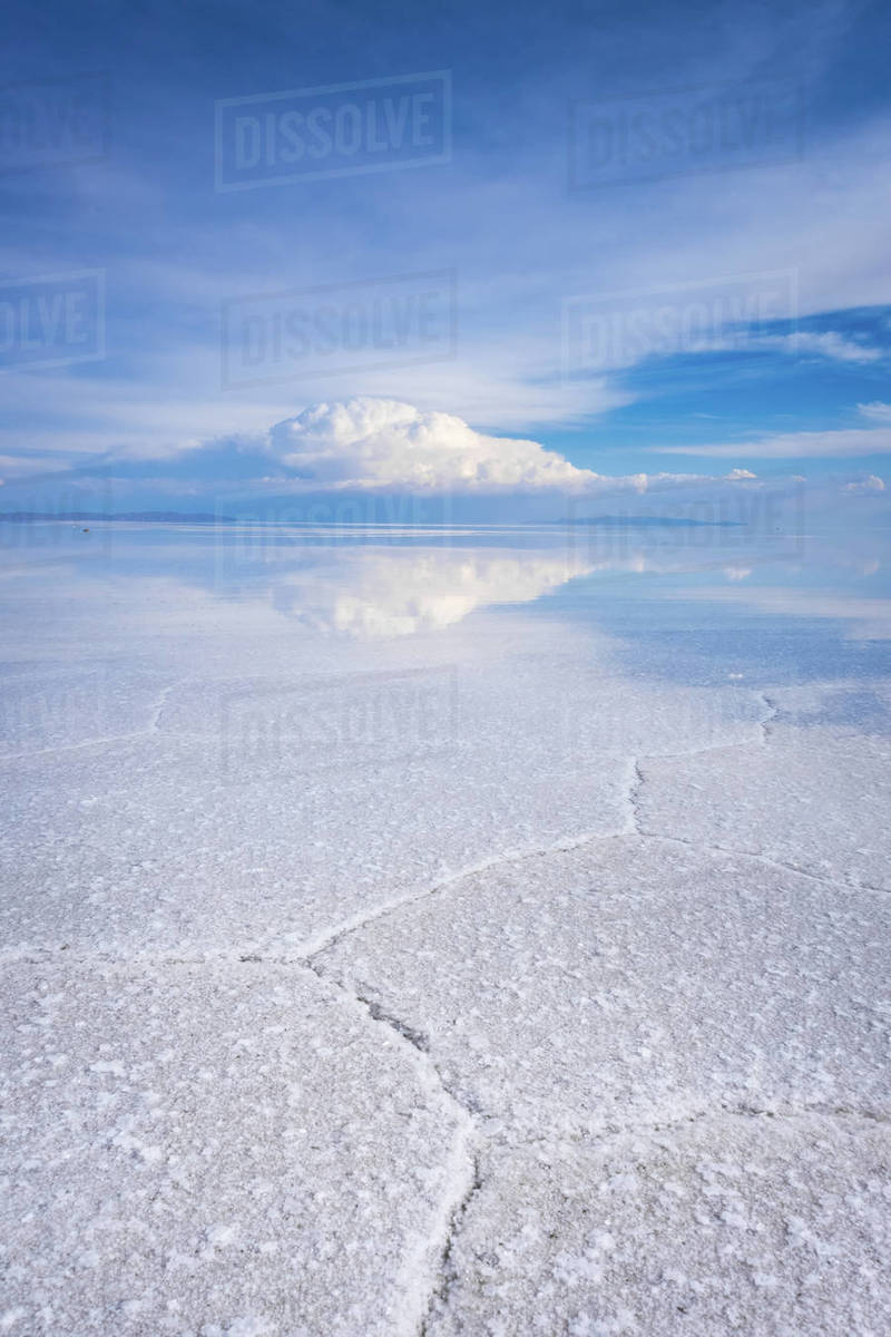 Salar de Uyuni salt white flats desert, Andes Altiplano, Bolivia ...