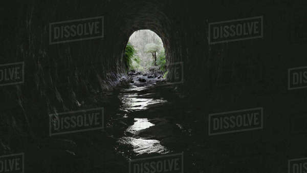 View from inside the glow worm tunnel towards the entrance- located ...