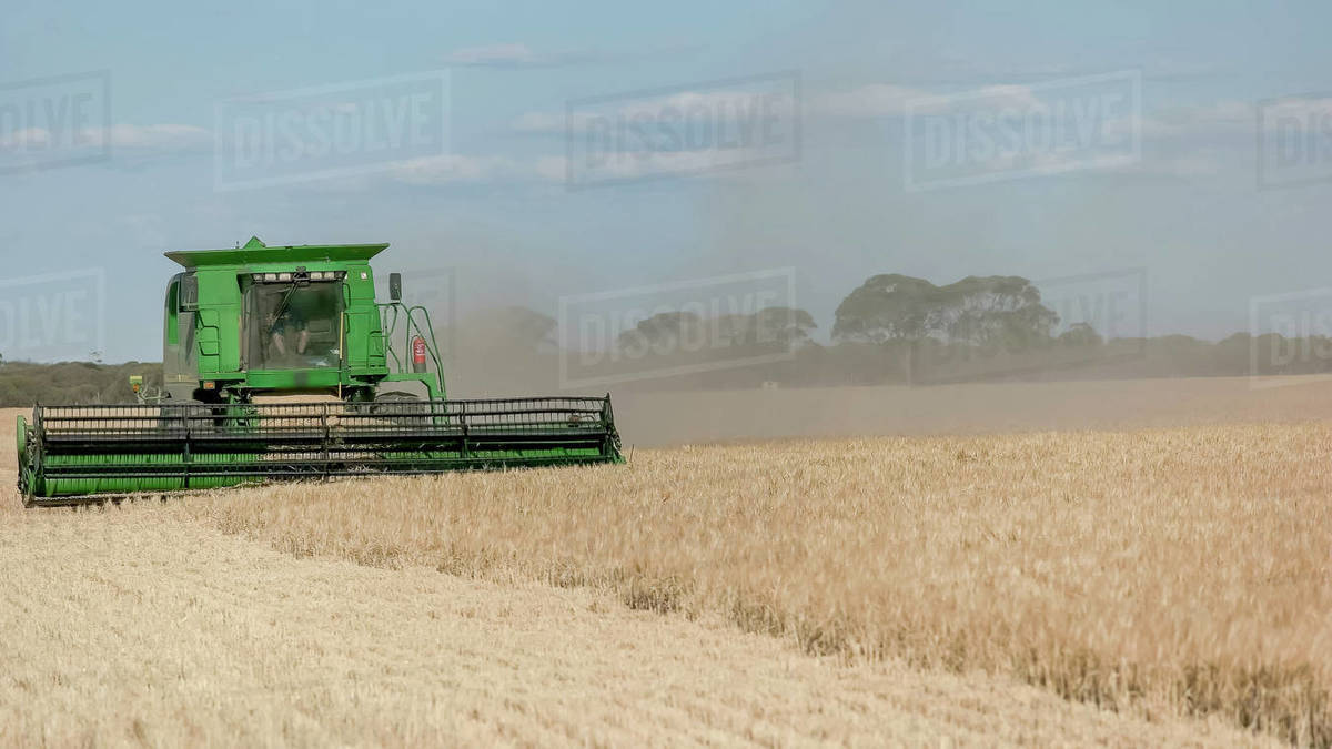 side on view of a combine header is used on a western australian grain ...