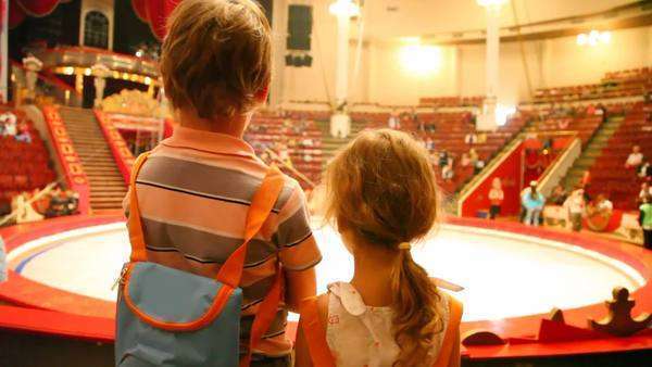 two kids - boy and little girl stands against arena in circus after ...
