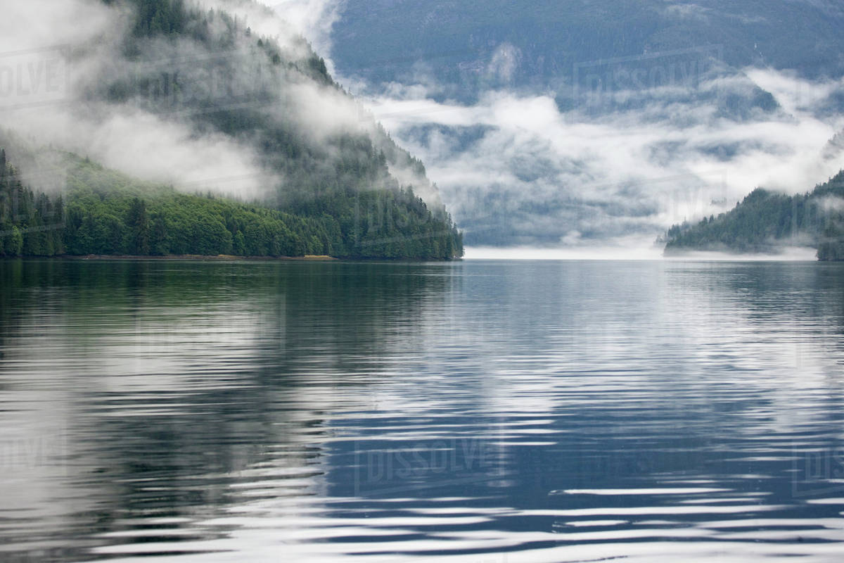 Canada, British Columbia, Fiordlands Recreation Area. Fog-shrouded ...