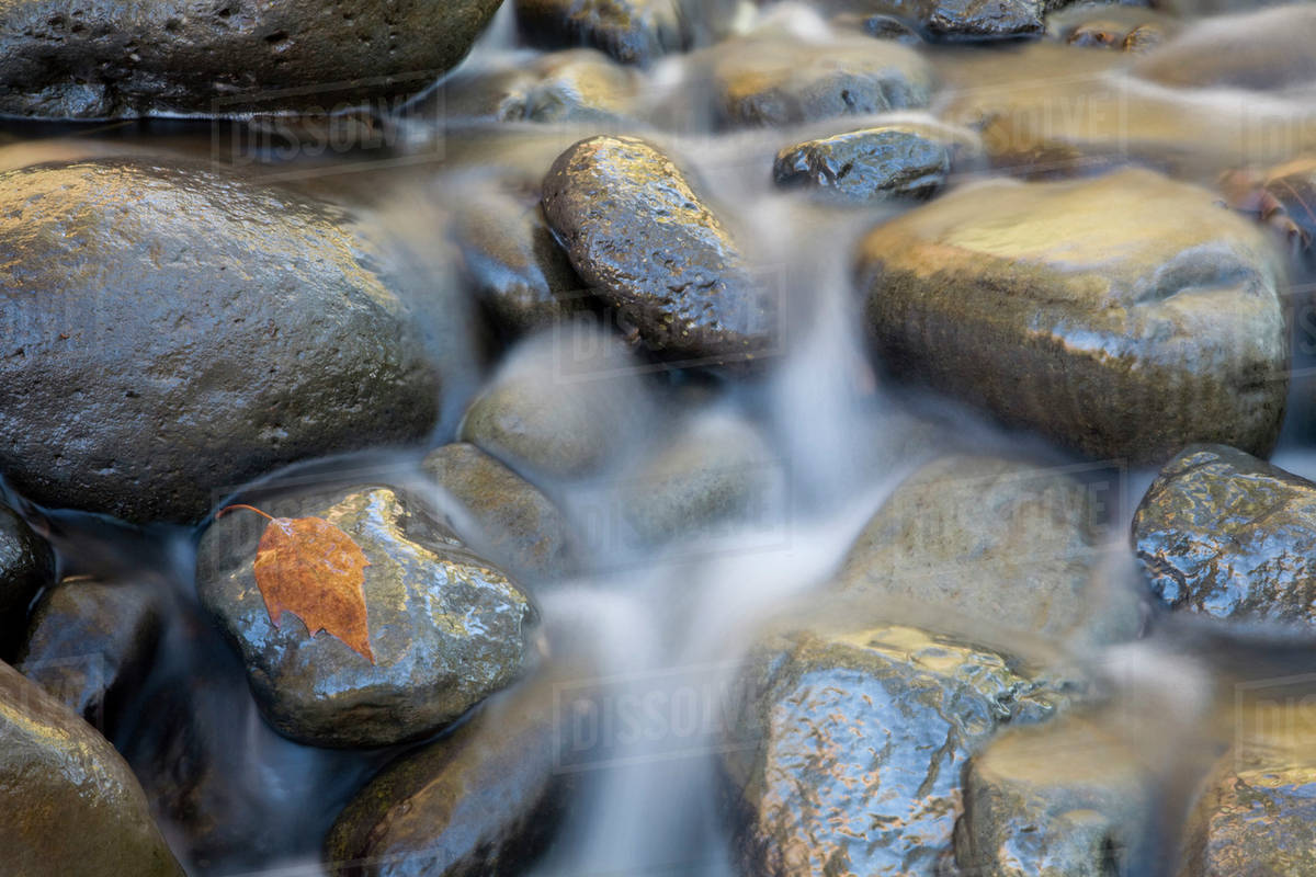 AZ, Arizona, Oak Creek Canyon, rocks and creek - Stock Photo - Dissolve
