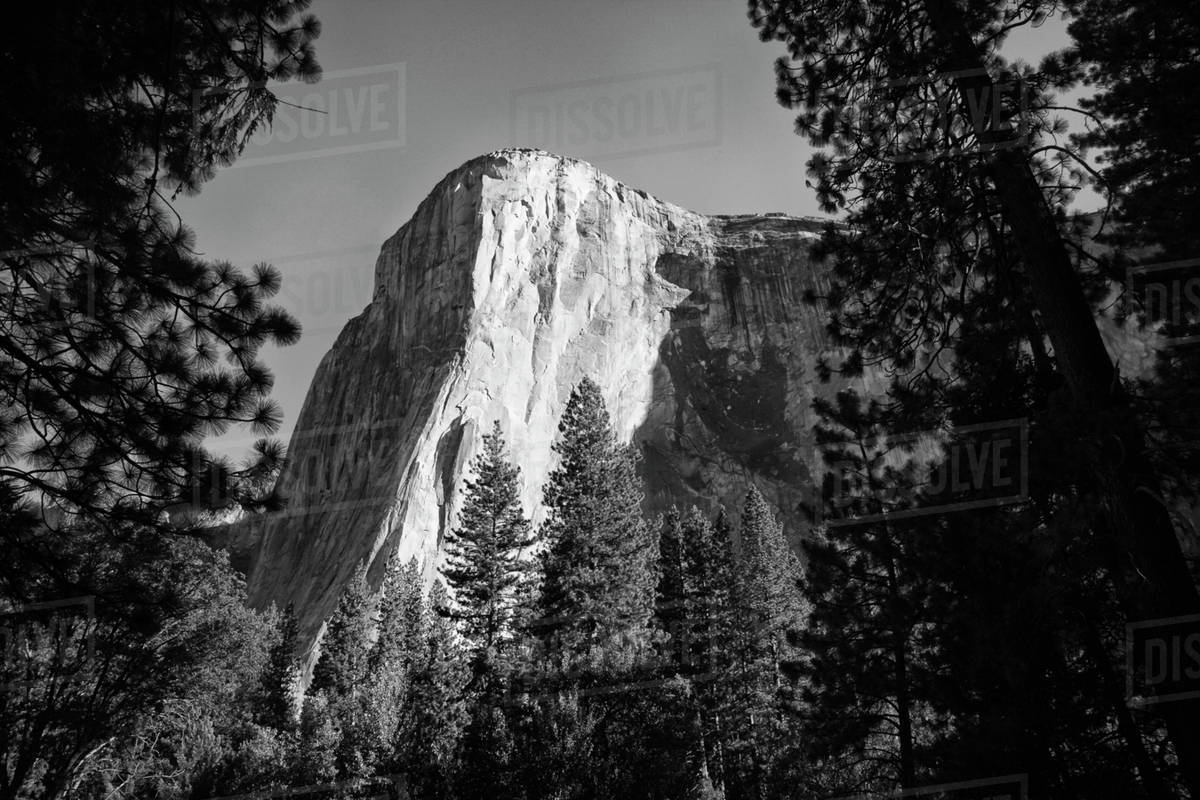 USA, California, Yosemite National Park. View of El Capitan. - Stock ...