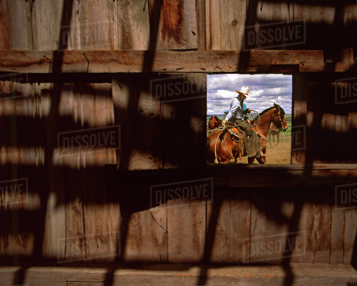 USA, Oregon, Jefferson County. Mounted cowboy with lasso in corral ...
