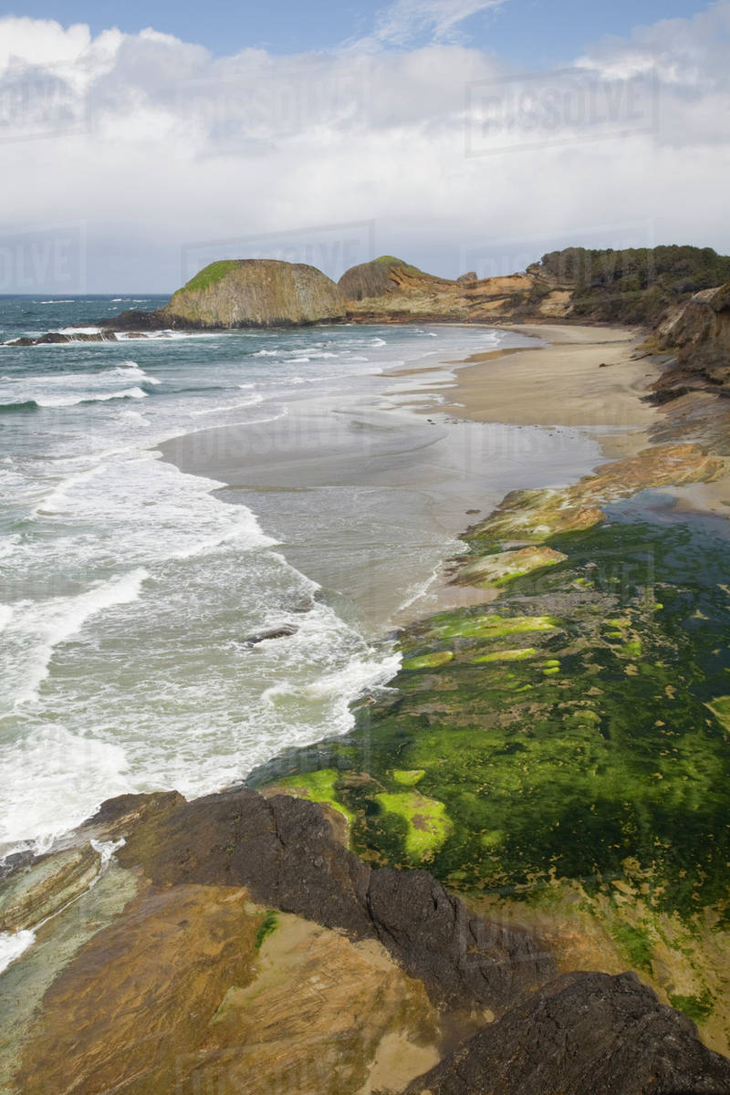 Oregon, Oregon Coast, Seal Rock State Park, shoreline view - Royalty ...