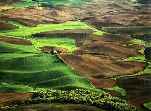 USA, Washington. View of Palouse farm country cultivation patterns ...