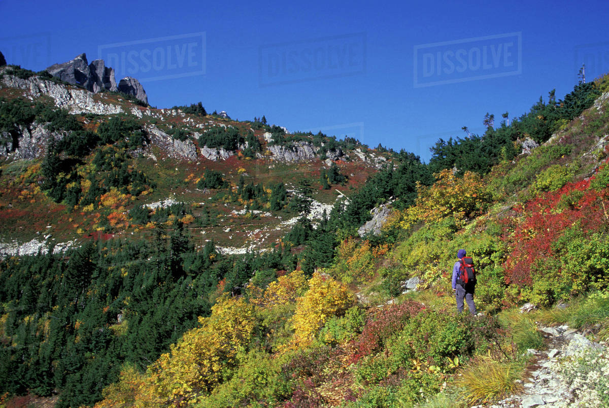 North America, USA, Washington, North Cascades National Park. Autumn at ...