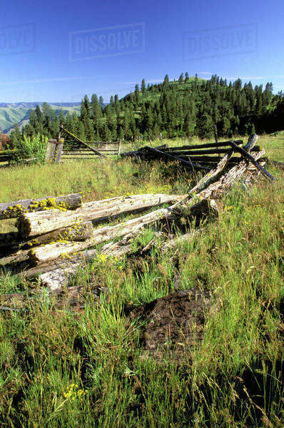 North America, USA, Washington State, Fields Spring State Park. The ...