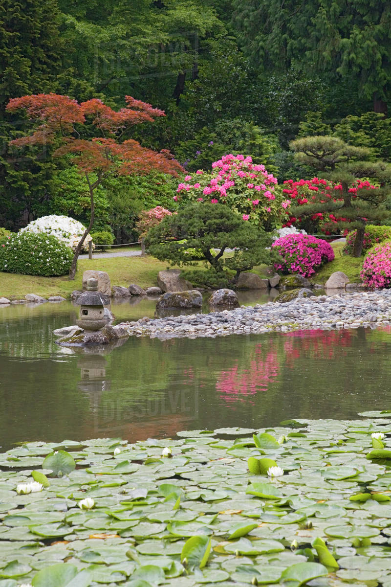 WA, Seattle, Washington Park Arboretum, flowers in bloom at the ...