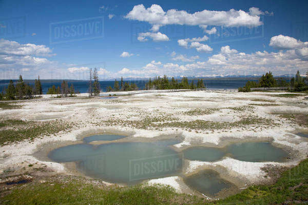 WY, Yellowstone National Park, West Thumb Geyser Basin, on the shore of ...
