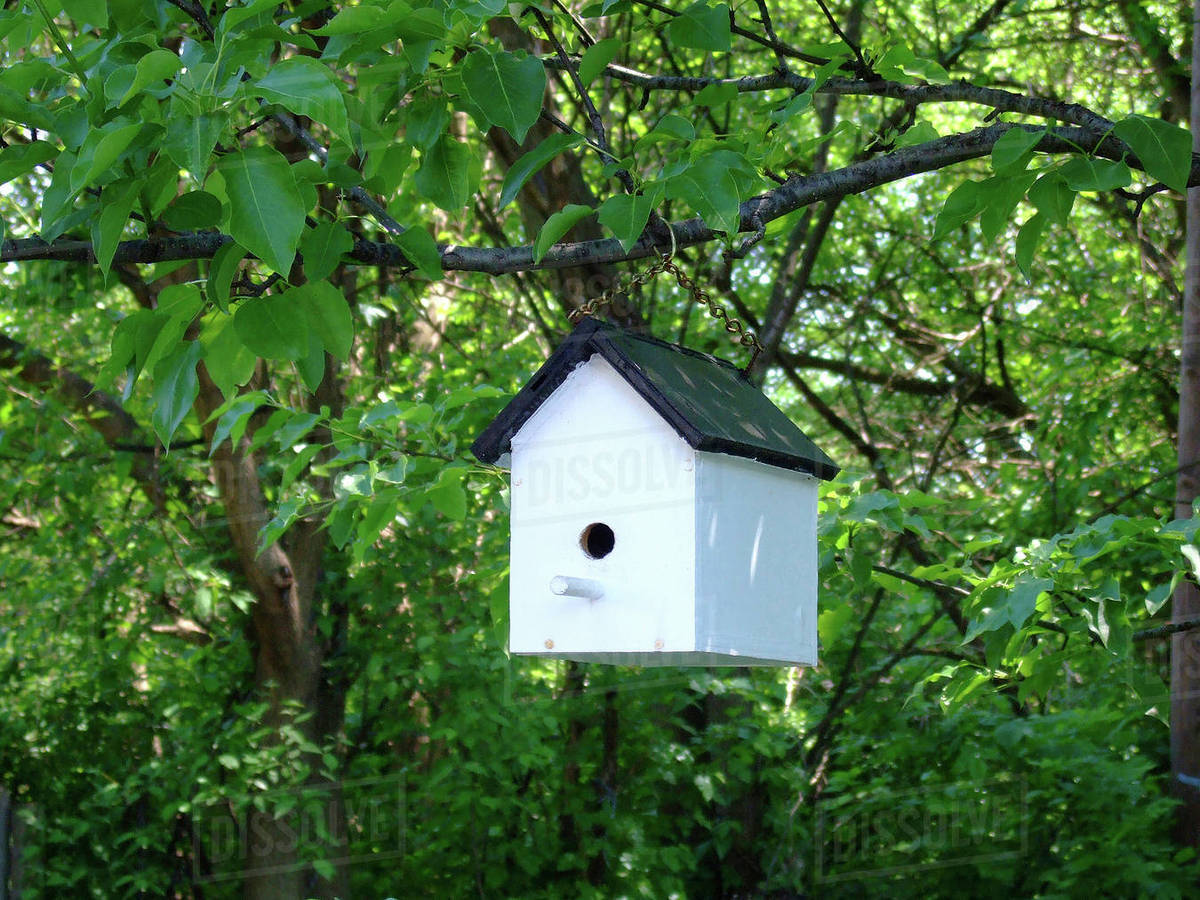 White Birdhouse - Royalty-free Stock Photo | Dissolve