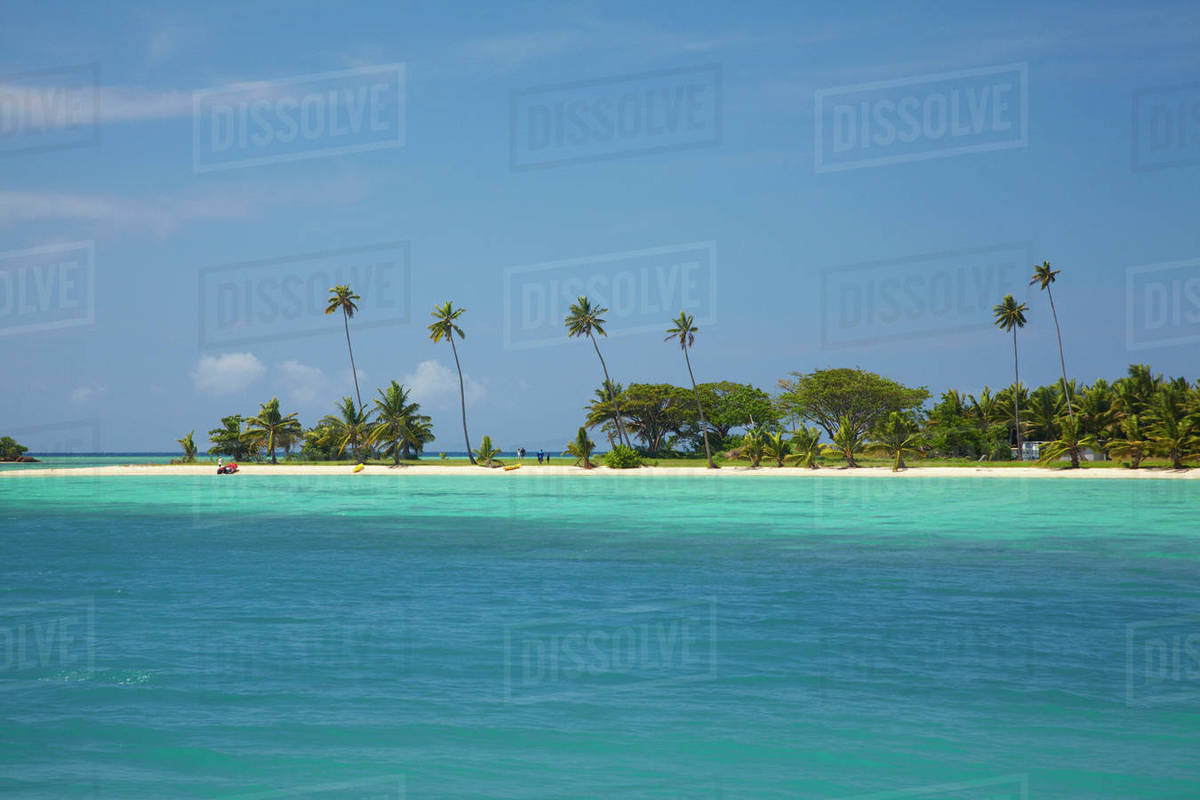 Beach and palm trees by Musket Cove Island Resort, Malolo Lailai Island ...