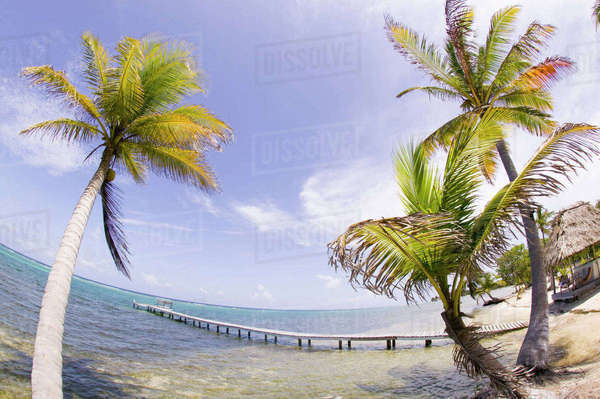 Fisheye camera lens view of island resort paradise, Turneffe Caye ...