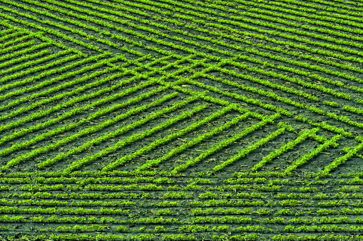 Mid-north Indiana. Field patterns formed by crops. - Stock Photo - Dissolve
