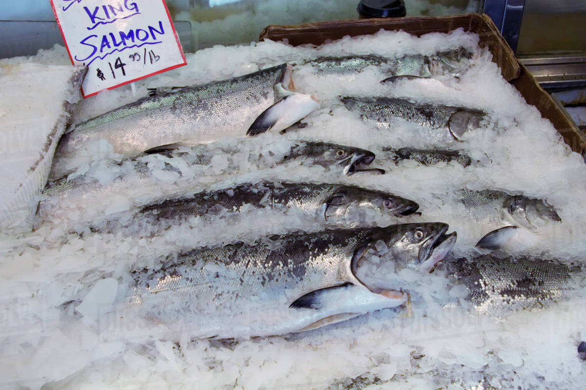 North America, USA, Washington, Seattle. King salmon on ice at the Pike ...