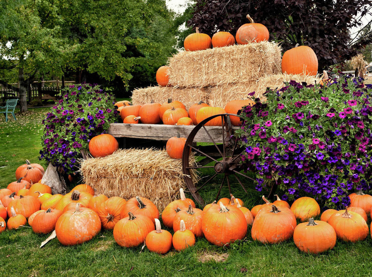 USA, Washington, Leavenworth. Located in Peshastin, WA, near ...