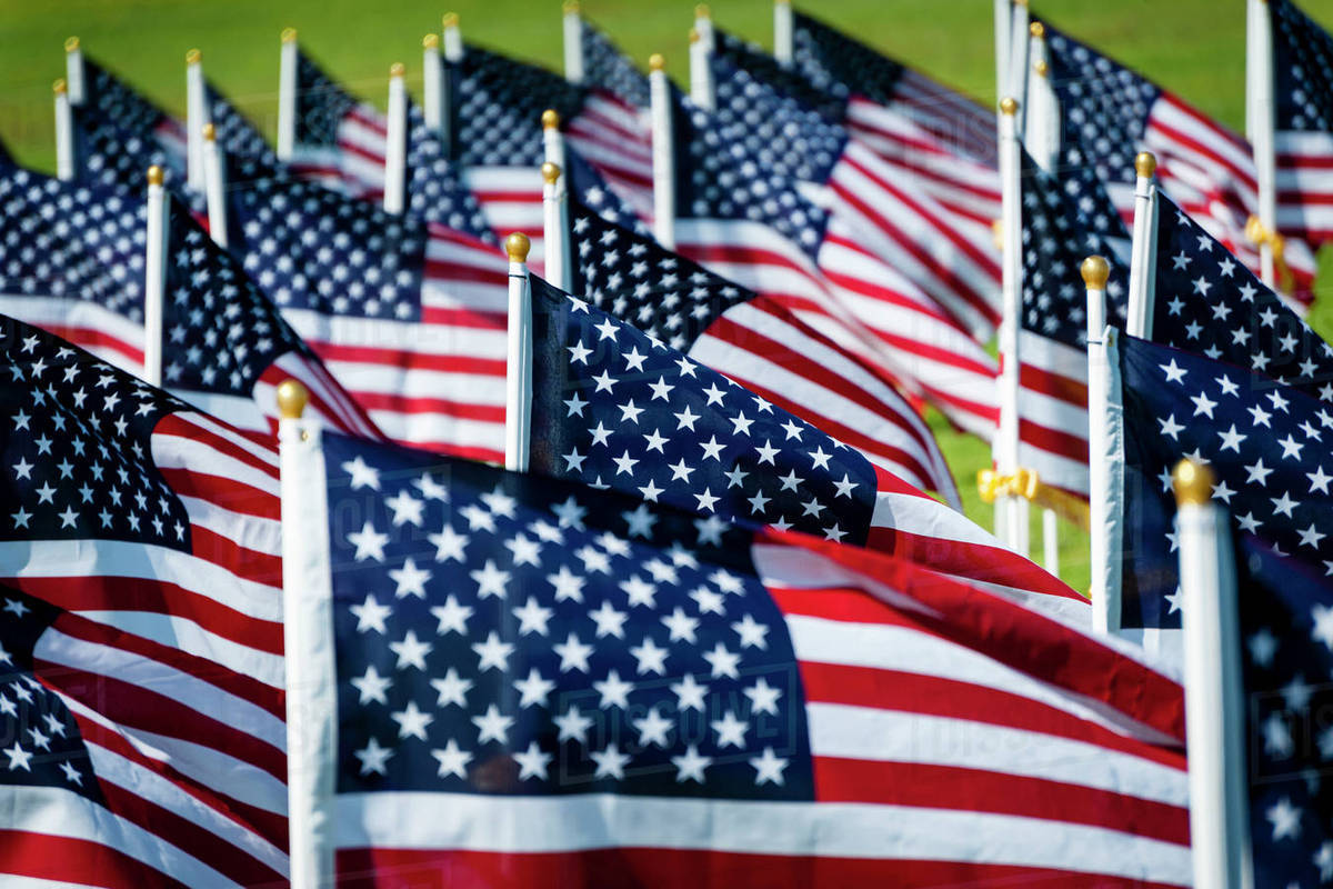 USA, Washington, Aberdeen. 400 flags waving proudly in a field visible ...
