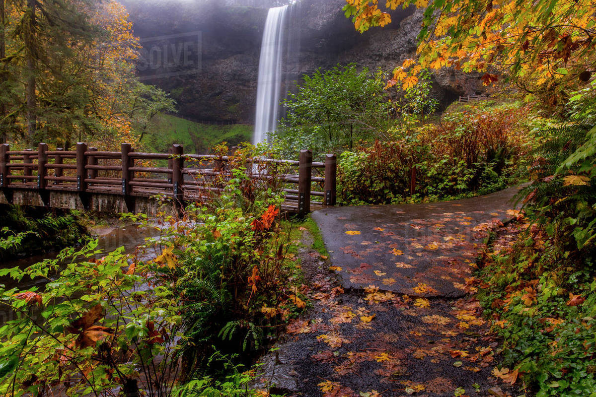 South Falls in autumn at Silver Falls State Park near Silverton, Oregon ...