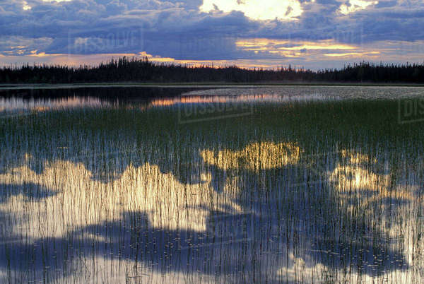 Deadman Lake, Tetlin NWR, AK. Clouds reflect in the lake - part of the ...