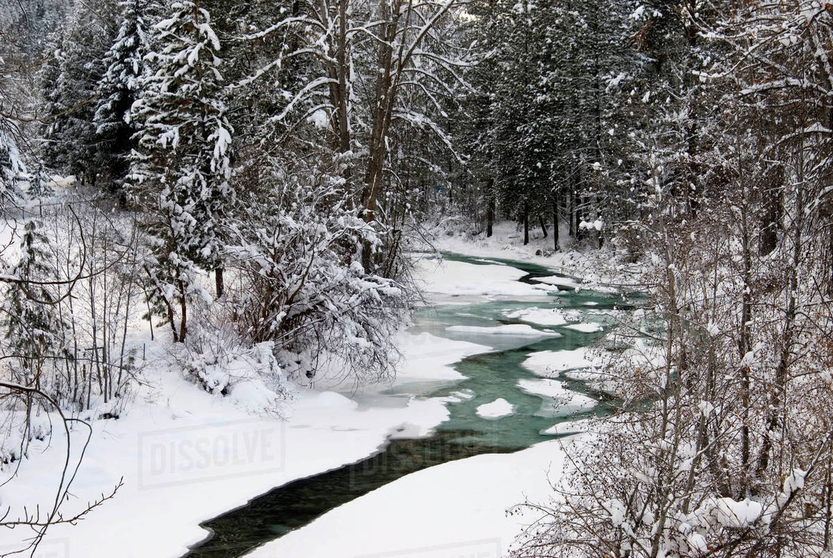 Winter Stream winding through Forest, Methow Valley, Washington - Stock ...