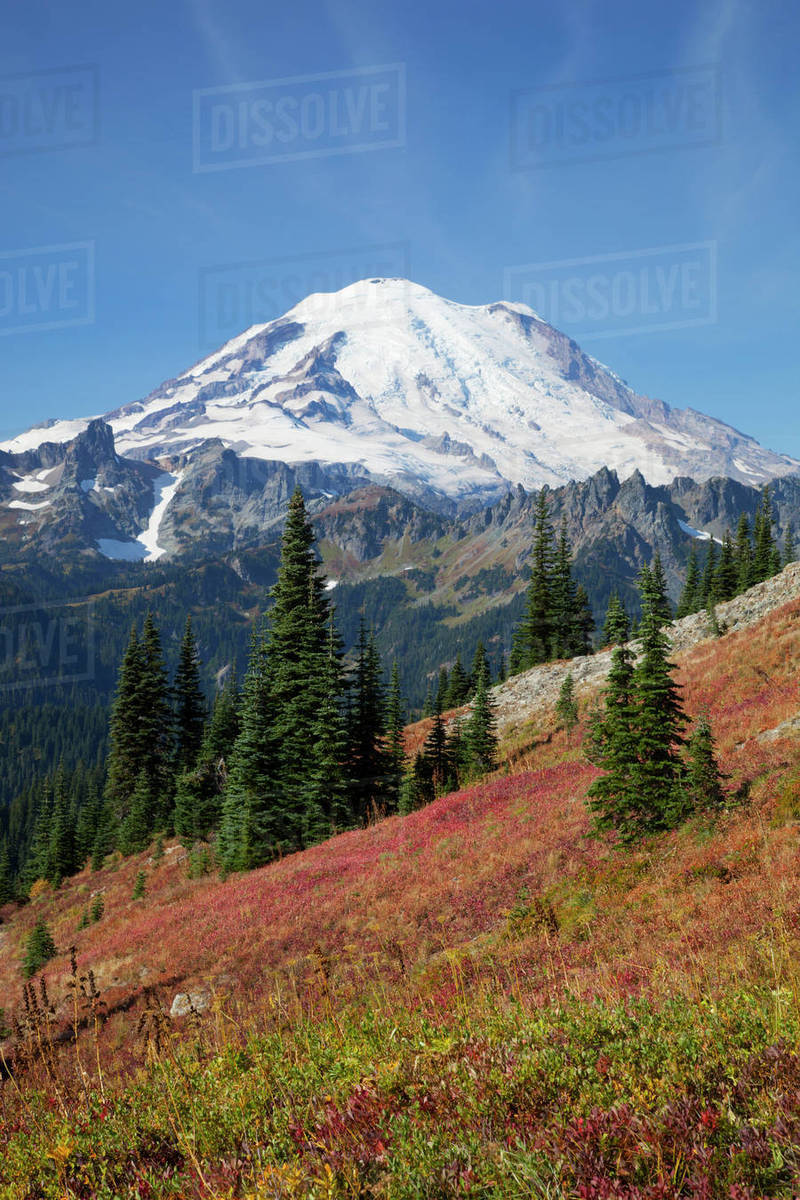 USA, Washington State, Mount Rainier National Park, Mount Rainier, view ...