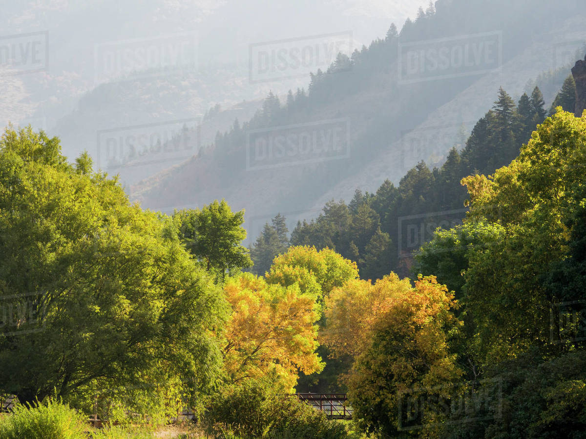 USA, Utah. Trail bridge across the Logan River along Logan Canyon in ...
