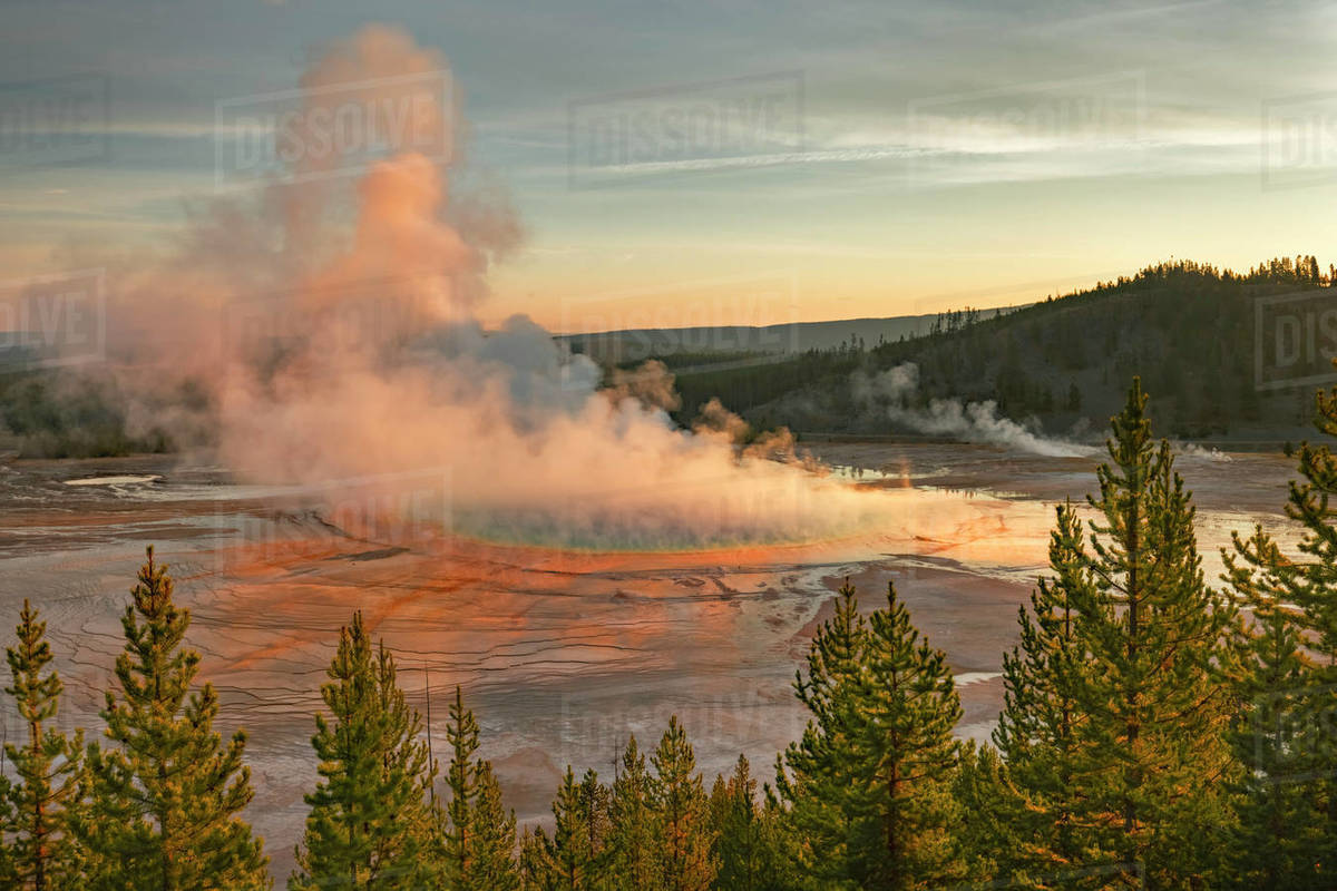 Elevated sunrise view of Grand Prismatic spring and colorful bacterial ...