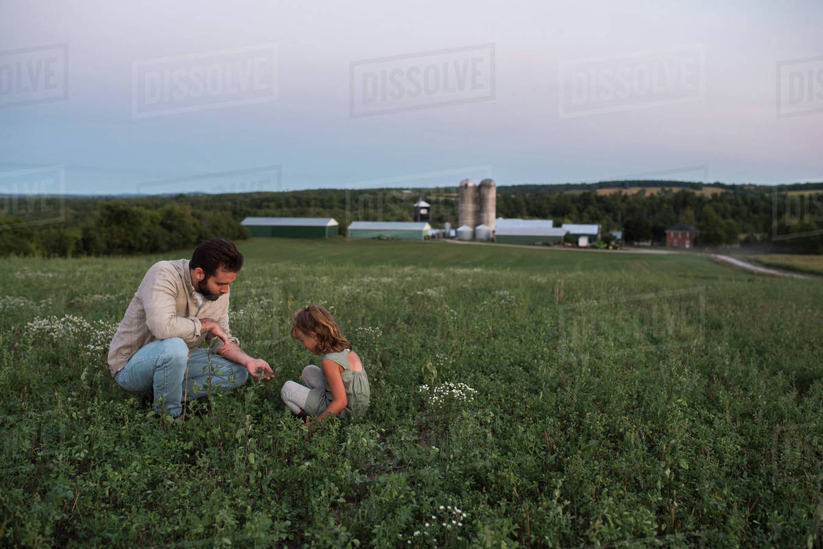 Father and daughter on farm, tending to crops - Royalty-free Stock ...