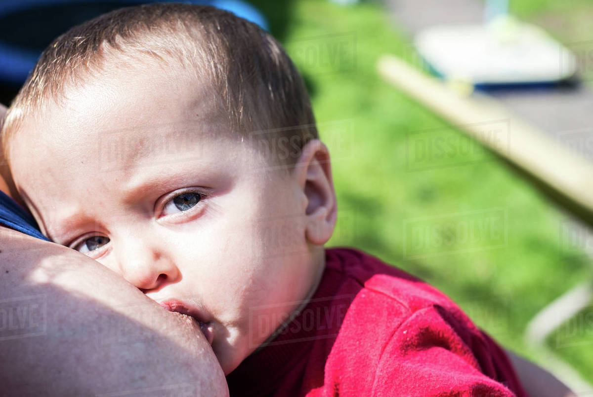 Baby boy breast feeding - Stock Photo - Dissolve