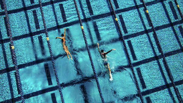 Overhead view of swimmers in pool - Stock Photo - Dissolve