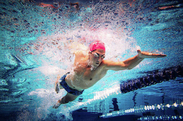 Swimmer doing freestyle in lane - Stock Photo - Dissolve