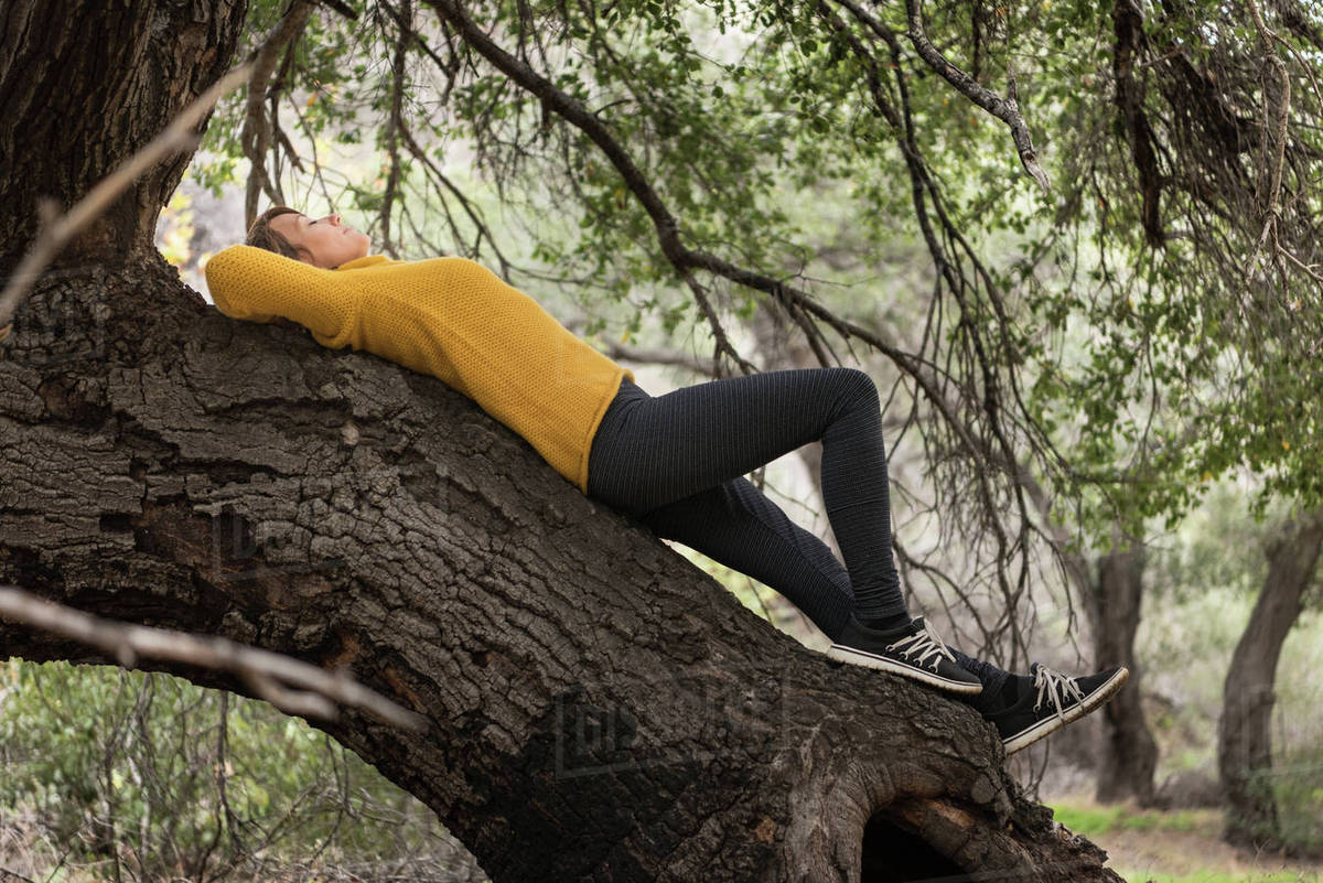 Woman lying on tree trunk, sleeping - Stock Photo - Dissolve