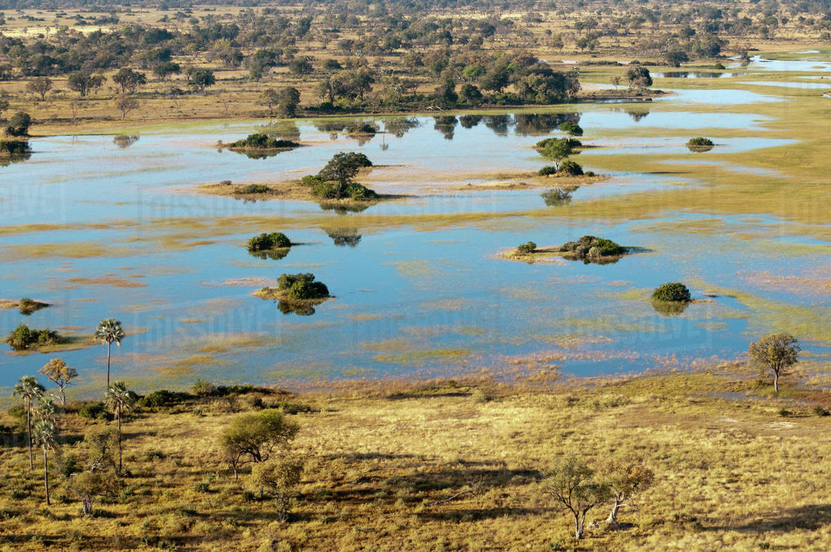 Aerial view of Okavango Delta, Botswana - Royalty-free Stock Photo ...