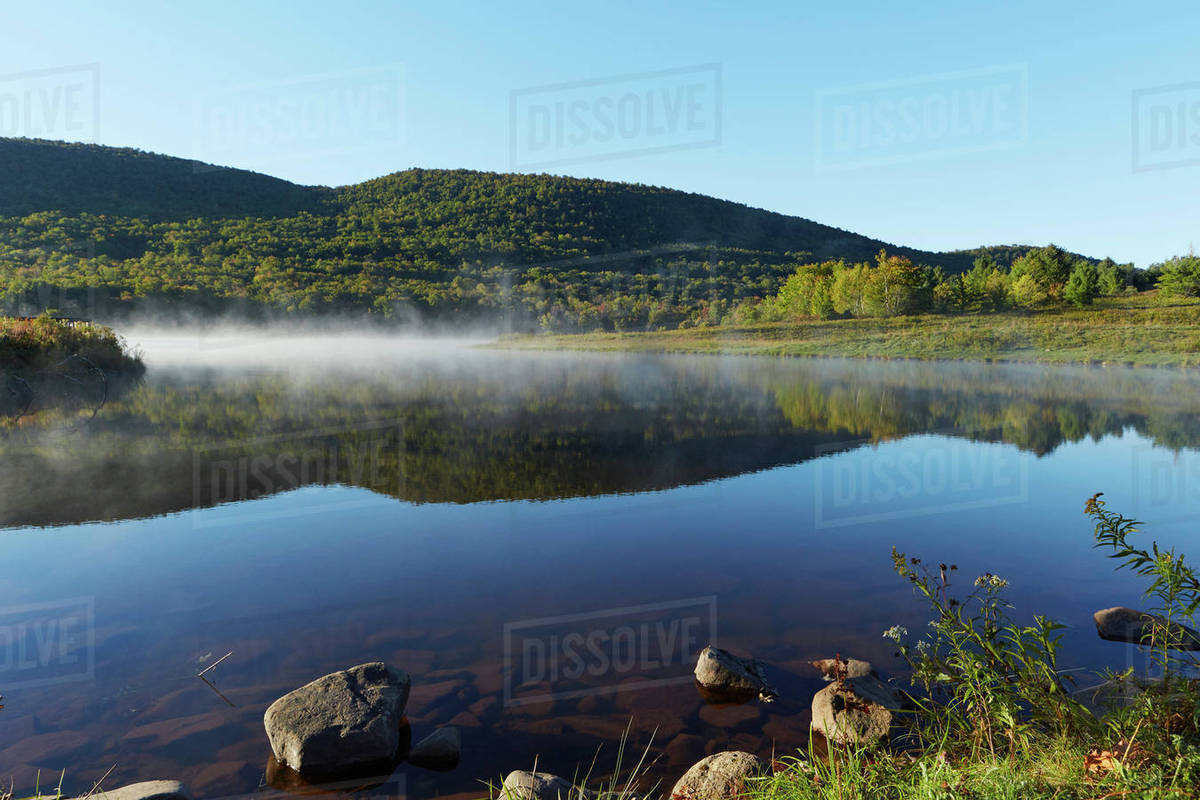 Scenic view, Colgate Lake Wild Forest, Catskill Park, New York State ...