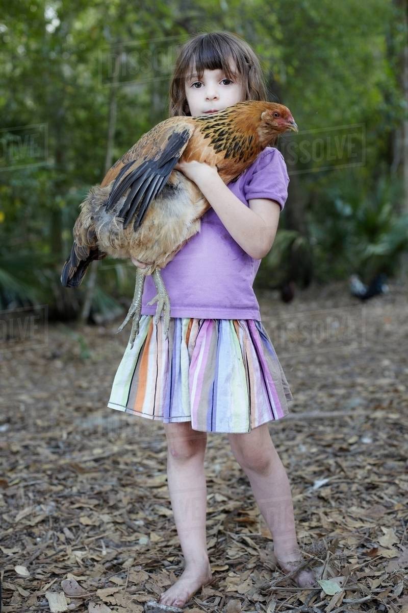 Girl holding hen - Royalty-free Stock Photo | Dissolve
