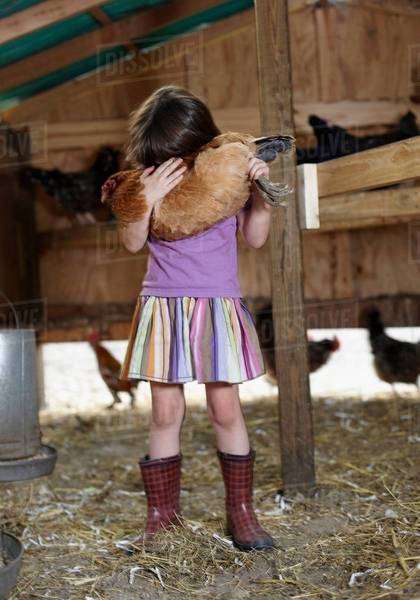 Girl holding hen in hen house - Royalty-free Stock Photo | Dissolve