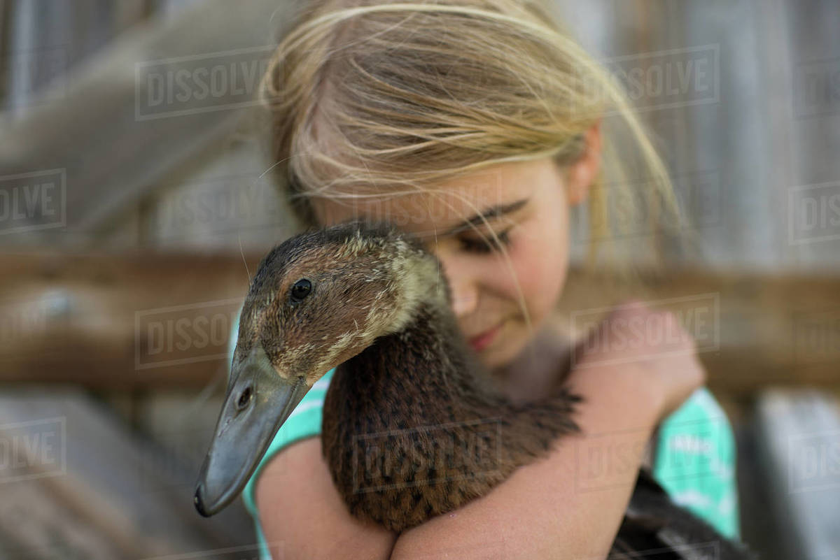 Girl with eyes closed hugging farm duck - Stock Photo - Dissolve