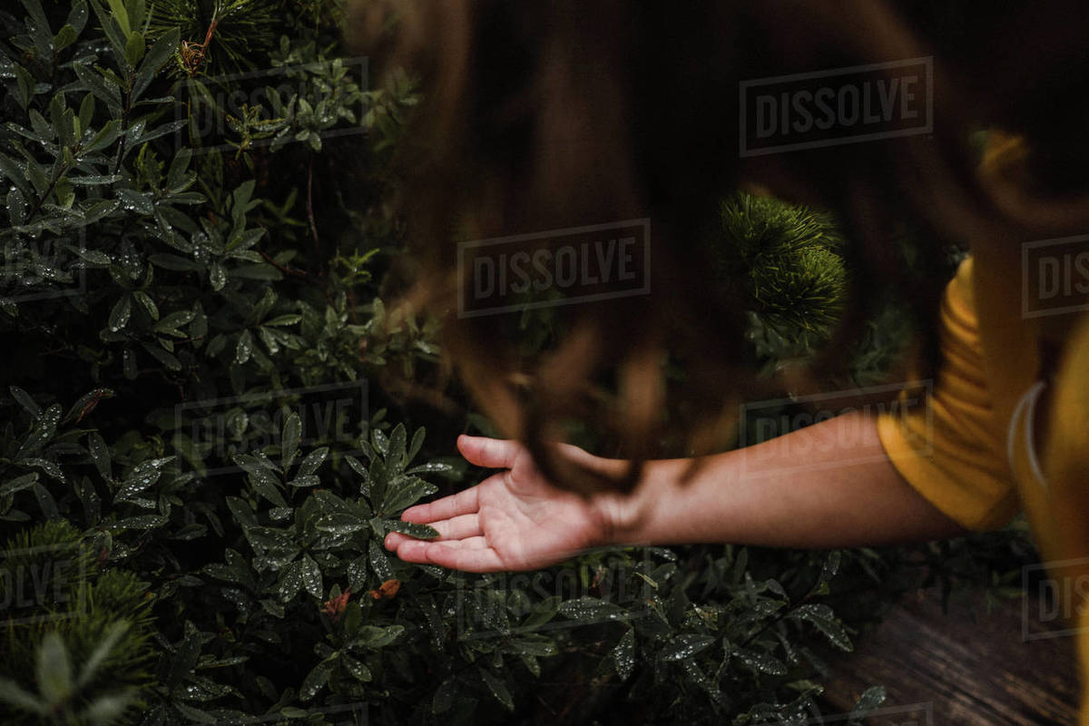 Girl discovering nature - Stock Photo - Dissolve