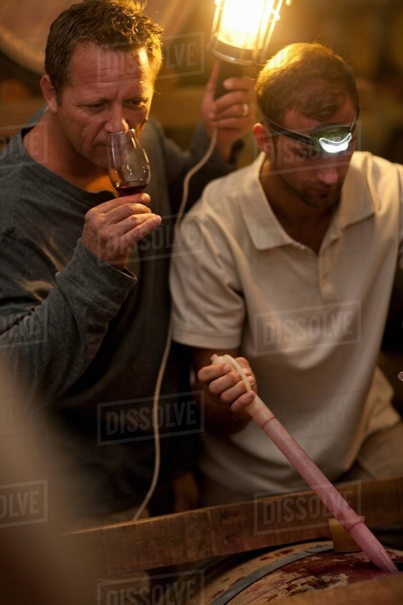 Sampling wine in barrels - Stock Photo - Dissolve
