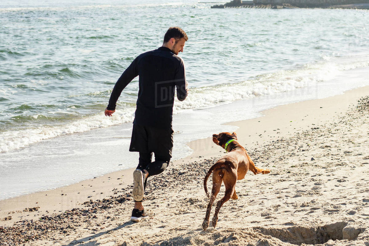 Man jogging with dog on beach - Stock Photo - Dissolve